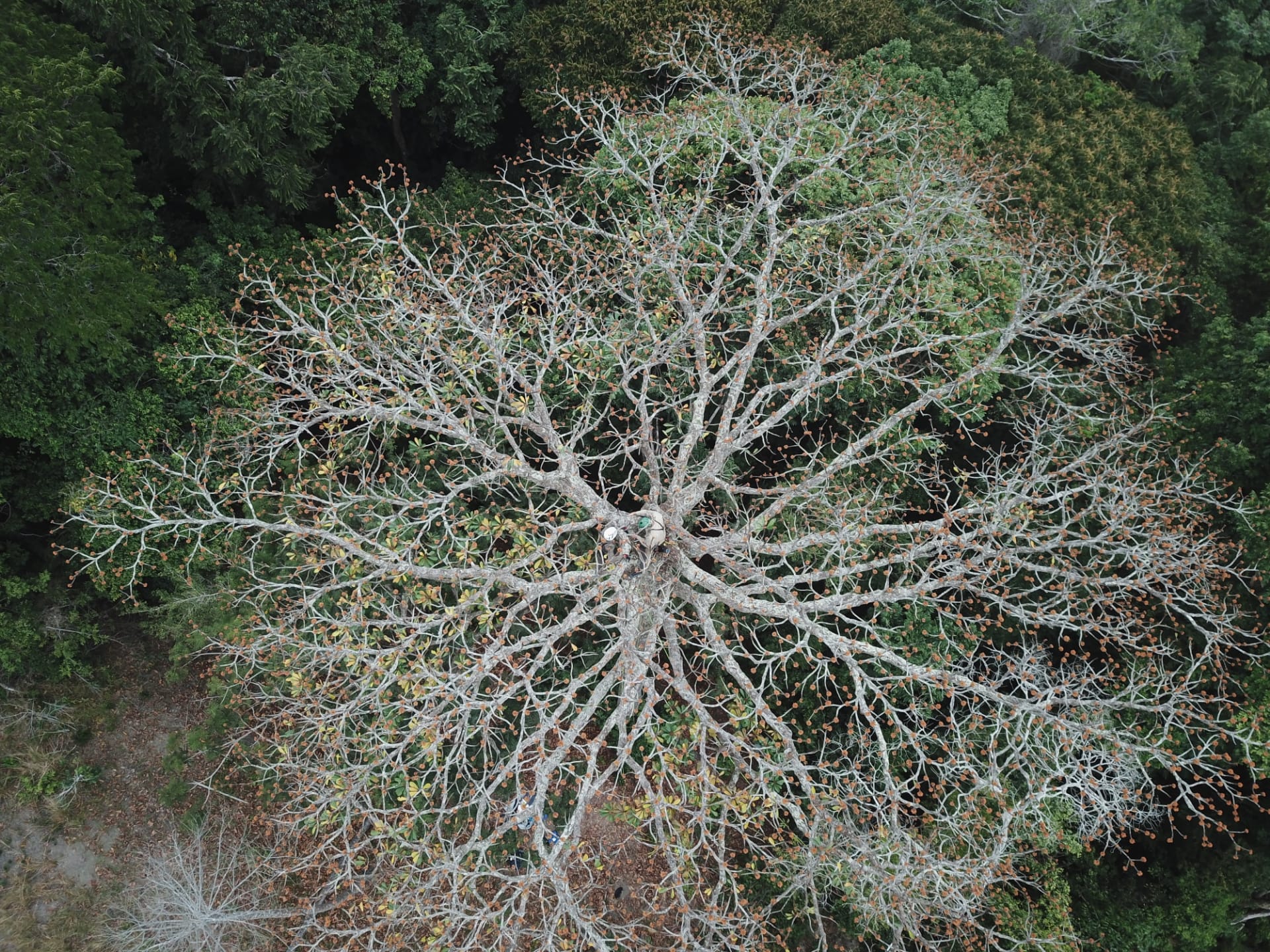 The Moabi Story - Dr Emma Bush